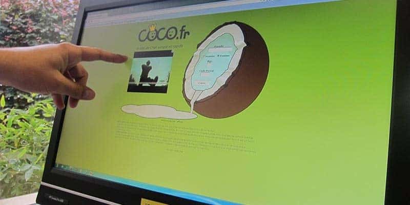 Coco.fr le chat gratuit sur internet - Cyber Journalisme
